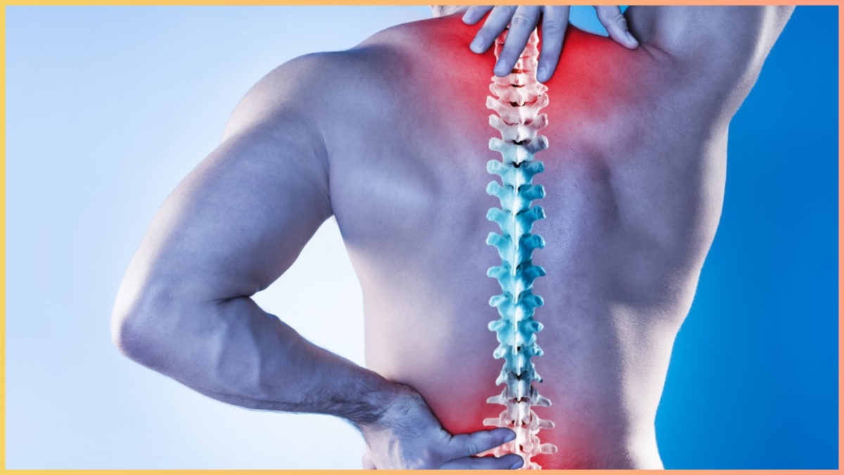 पीठ दर्द (Back pain) को नजरअंदाज न करें! एक्सपर्ट से जानें क्यों है ये ...