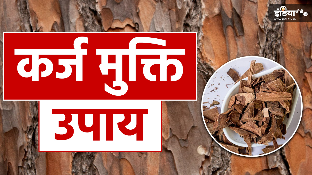 अगर डूब गए हैं कर्ज के जंजाल में, तो इस पेड़ की छाल के ये उपाय करते ही मिलेगी राहत, बेशुमार धन ...