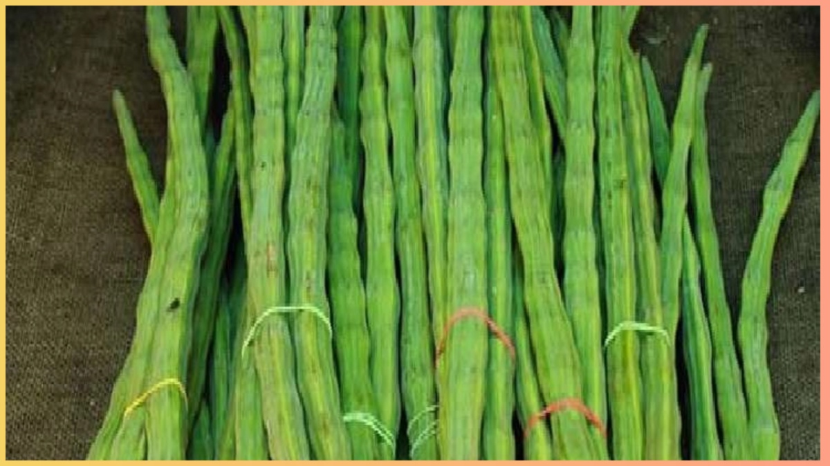 इस सब्जी का पानी डायबिटीज के मरीजों के लिए है फायदेमंद, Fasting Sugar ...