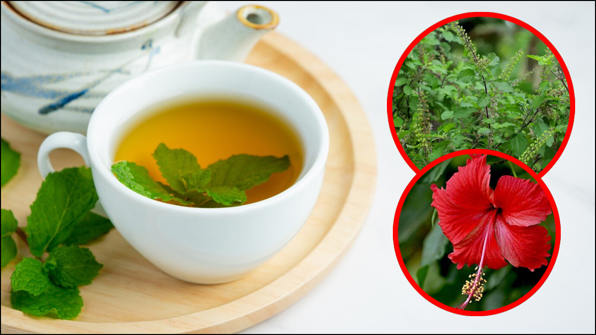 घर में इन पत्तों से बनाएं फ्रेश टी, मार्केट में मिलने वाली ग्रीन टी से ...