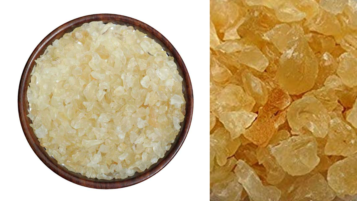 गोंद कतीरा से क्या फायदा होता है और इसका सेवन कैसे करें? कौन सी ...