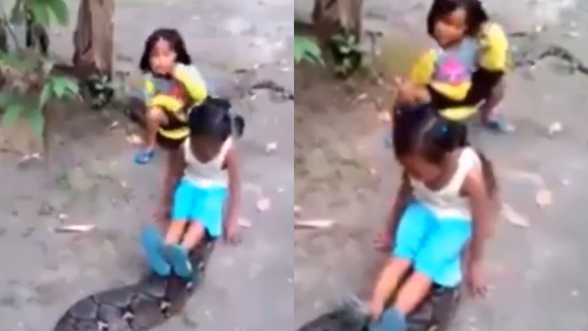 इन निडर बालकों की हरकत देख भौचक्के हो जाएंगे आप, Video देख लोगो बोले ...