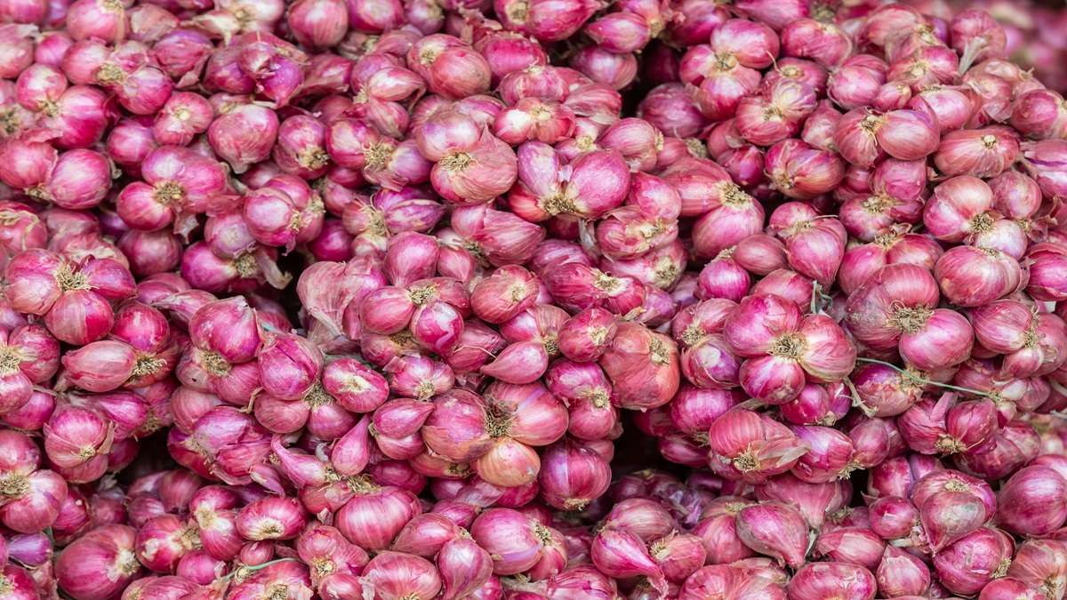 सरकार ने 1 अप्रैल से प्याज पर 20% निर्यात शुल्क वापस लिया, क्या अब फिर ...