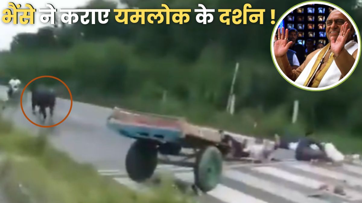 Today Trending Video Buffalo Ka Viral Video Buffalo Funny Video goes ...