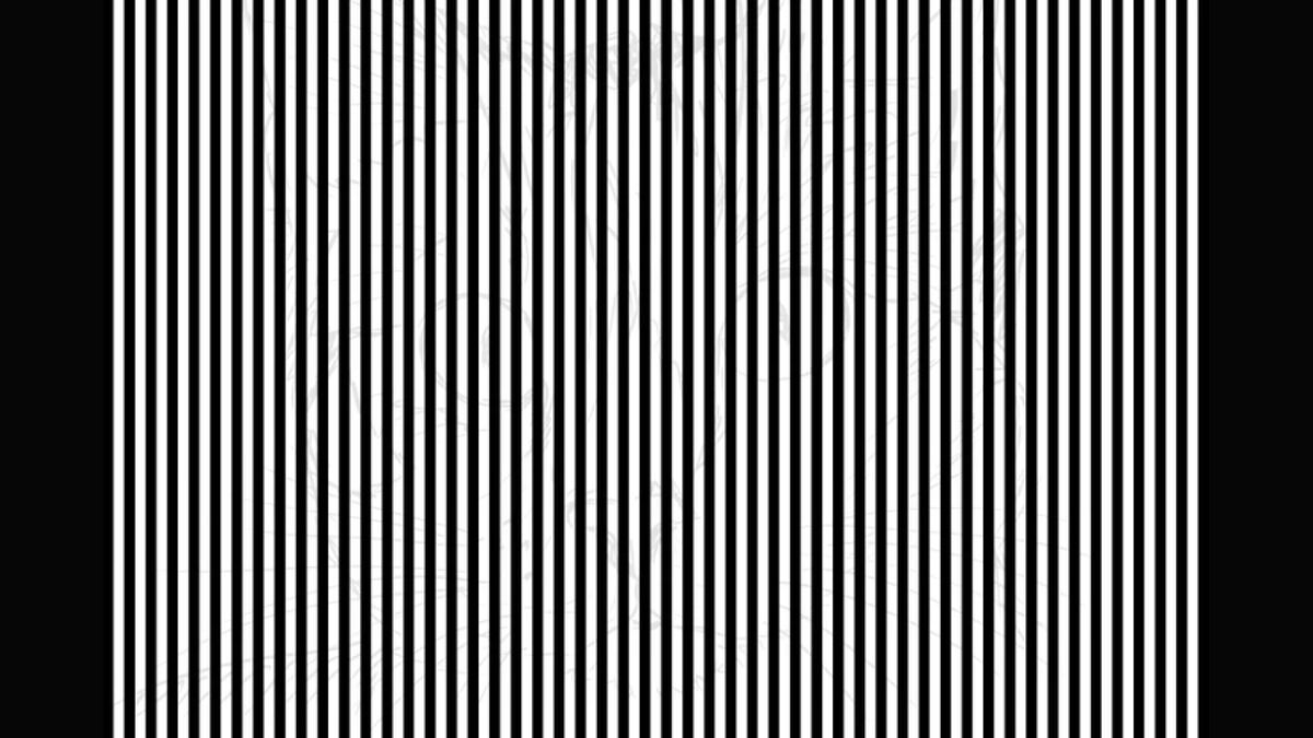 Optical Illusion Personality Test, Eye Test, Quiz: सफेद रंग या बिल्ली ...