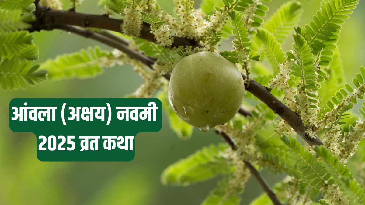 Amla Navami Ki Katha, Kahani (आंवला नवमी की कहानी): मां लक्ष्मी ने की ...