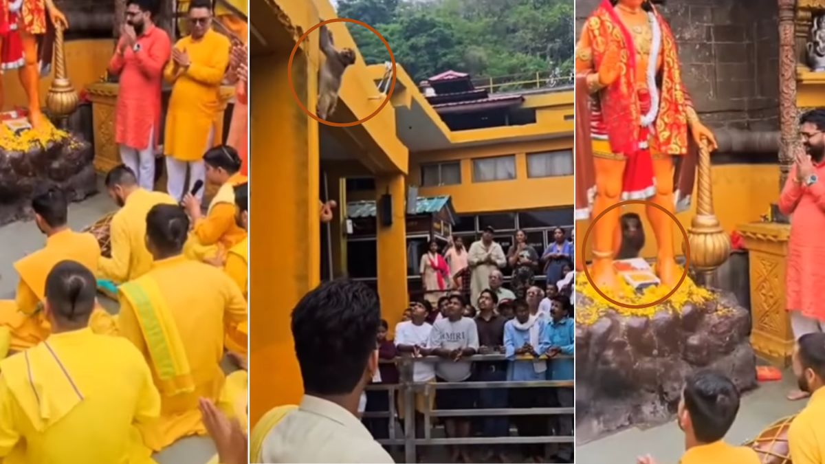 Bandar Ka Video, monkey came during hanuman chalisa: हनुमान चालीसा के ...