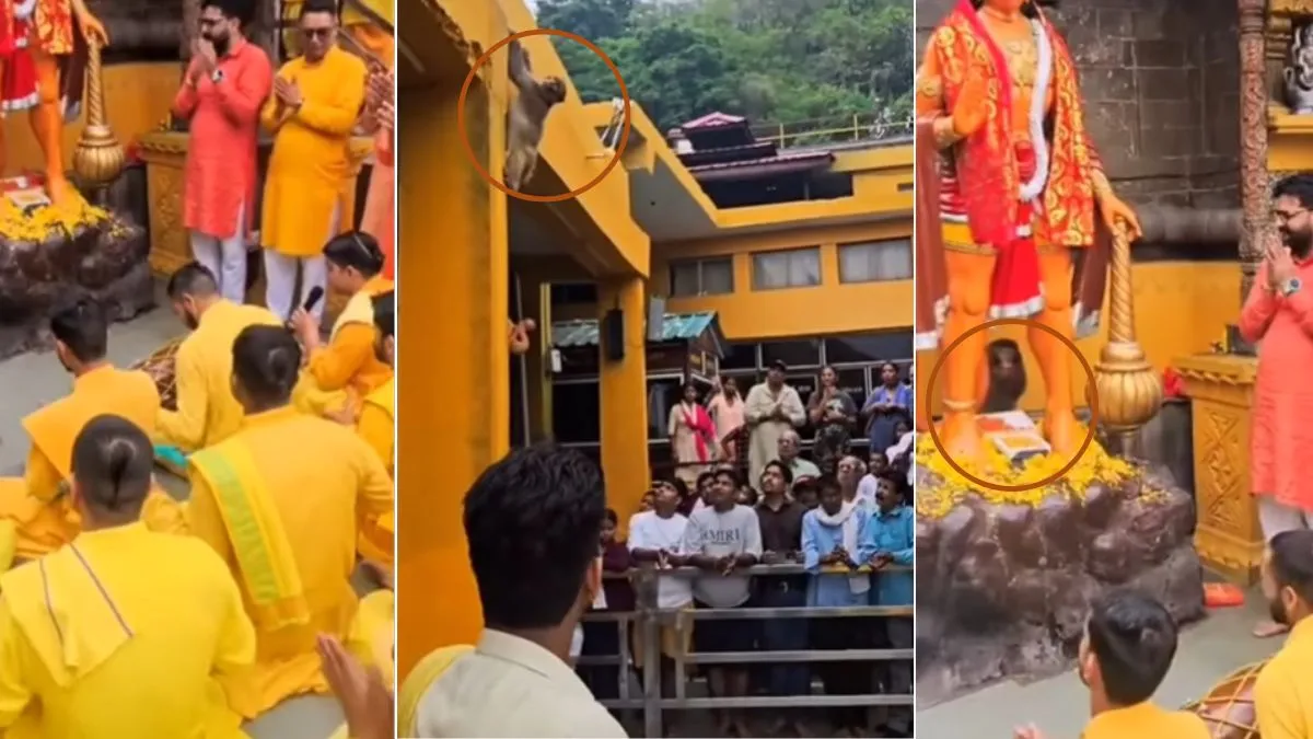 Bandar Ka Video, monkey came during hanuman chalisa: हनुमान चालीसा के ...