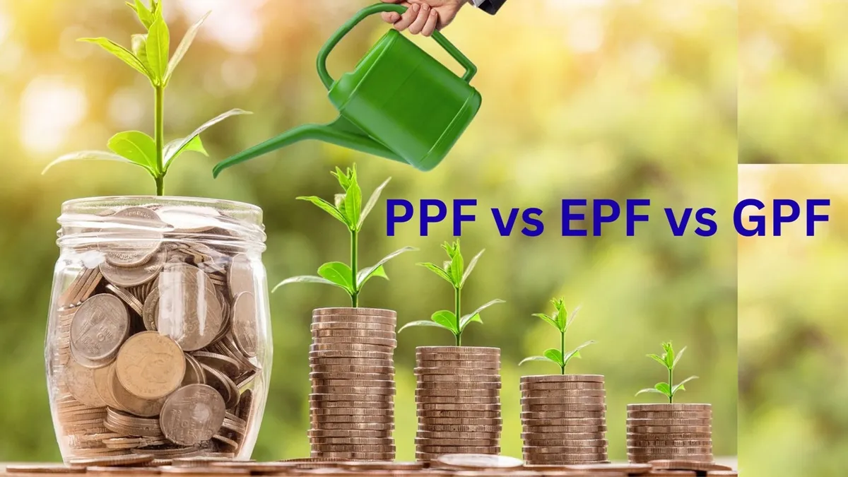 PPF vs EPF vs GPF: तीनों में क्या है अंतर? आपका अकाउंट किसमें है? जानें कितना मिलता है ब्याज ...