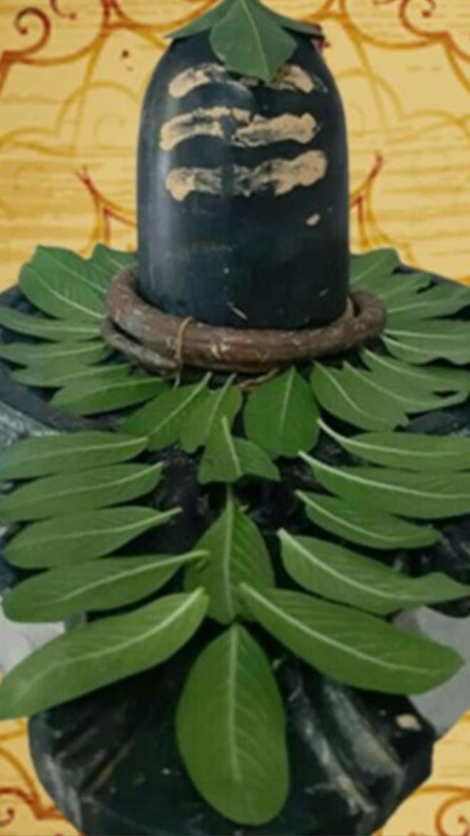 Sawan Monday Fast Rules: सावन सोमवार व्रत में क्या करें और क्या नहीं ...