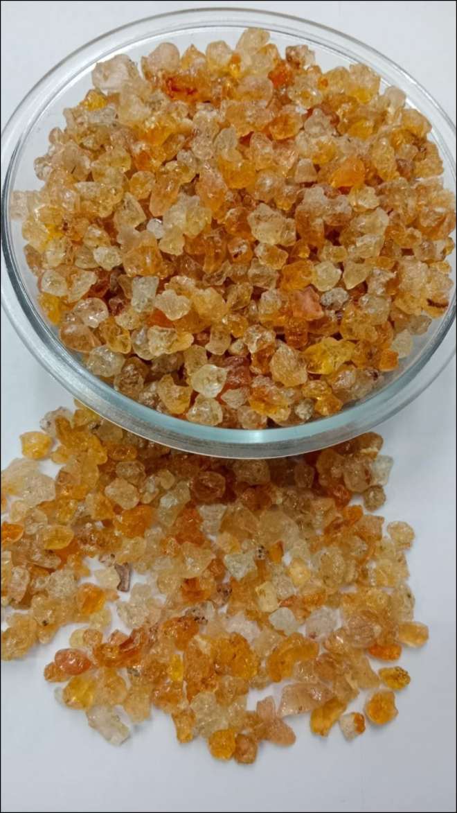 गोंद और गोंद कतीरा में क्या है अंतर, लोग नहीं समझ पाते फर्क - India TV ...