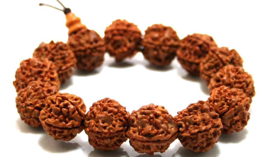 Know whick which rudraksha should you wear according to zodiac sign and ...