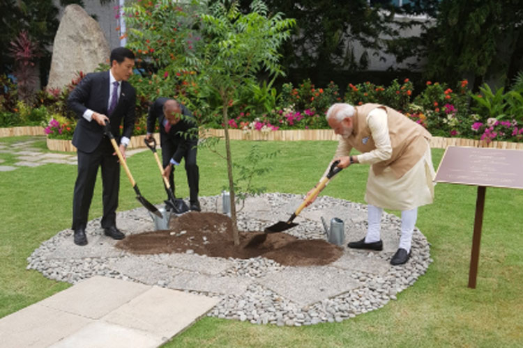 PM Narendra Modi plants Neem tree at Singapore's Nanyang Technological ...